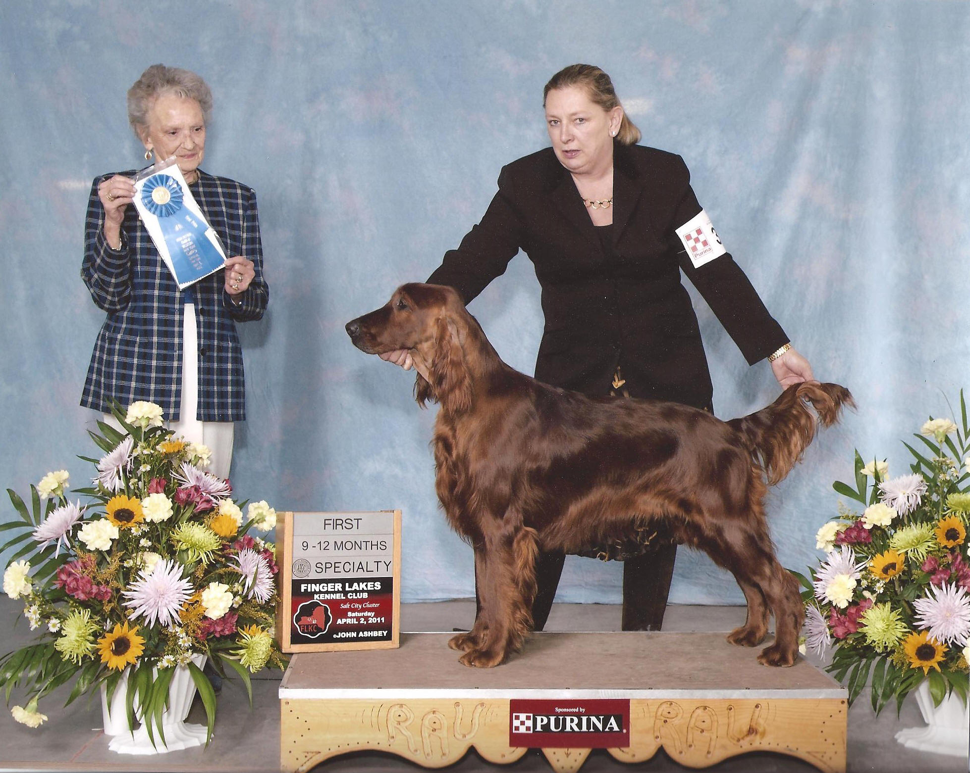 Erinshire Litter Pictures – Erinshire Irish Setters